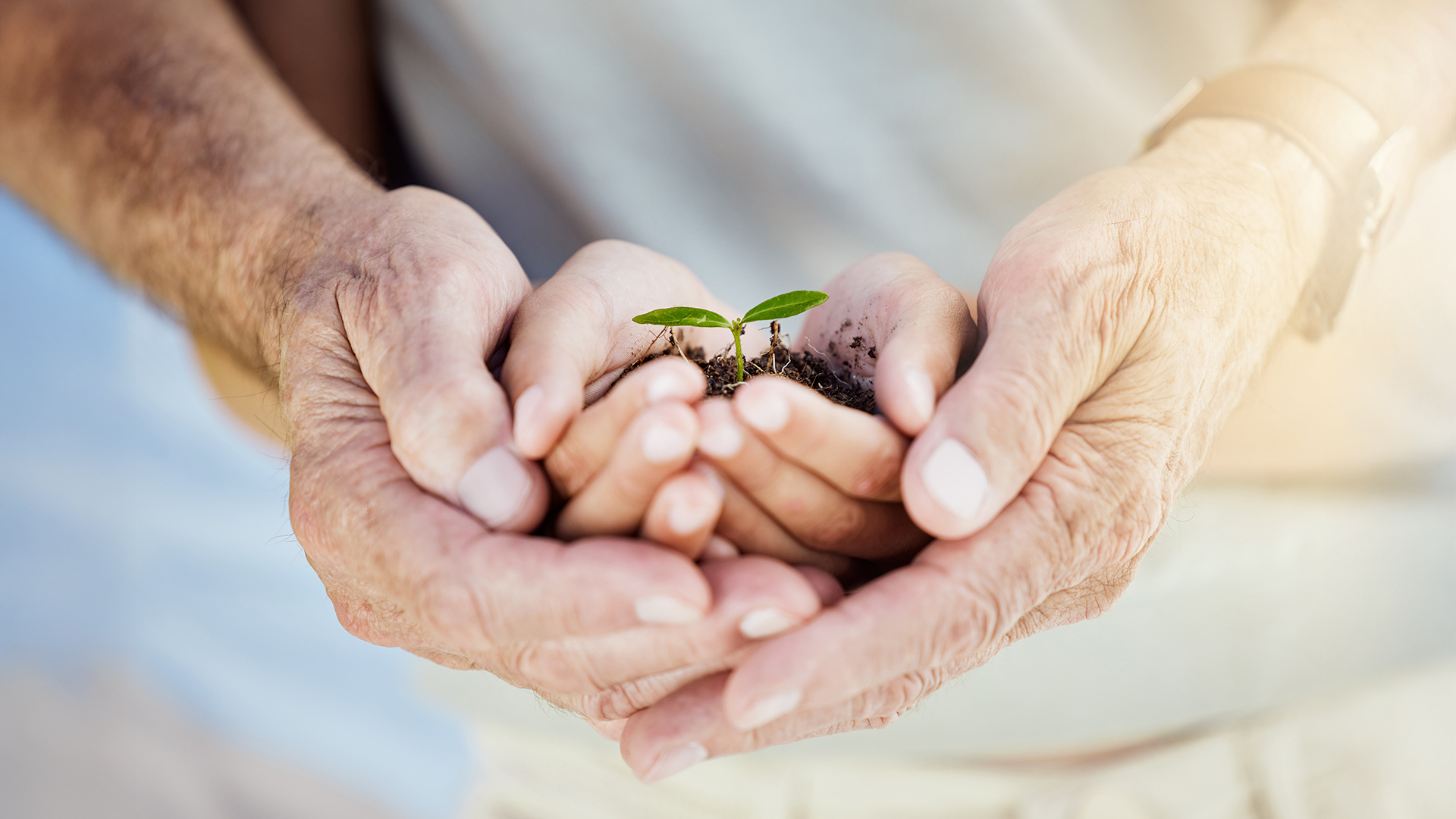 What We Pass Down: How Empathy Shapes Generations - Buddhist Senior Living